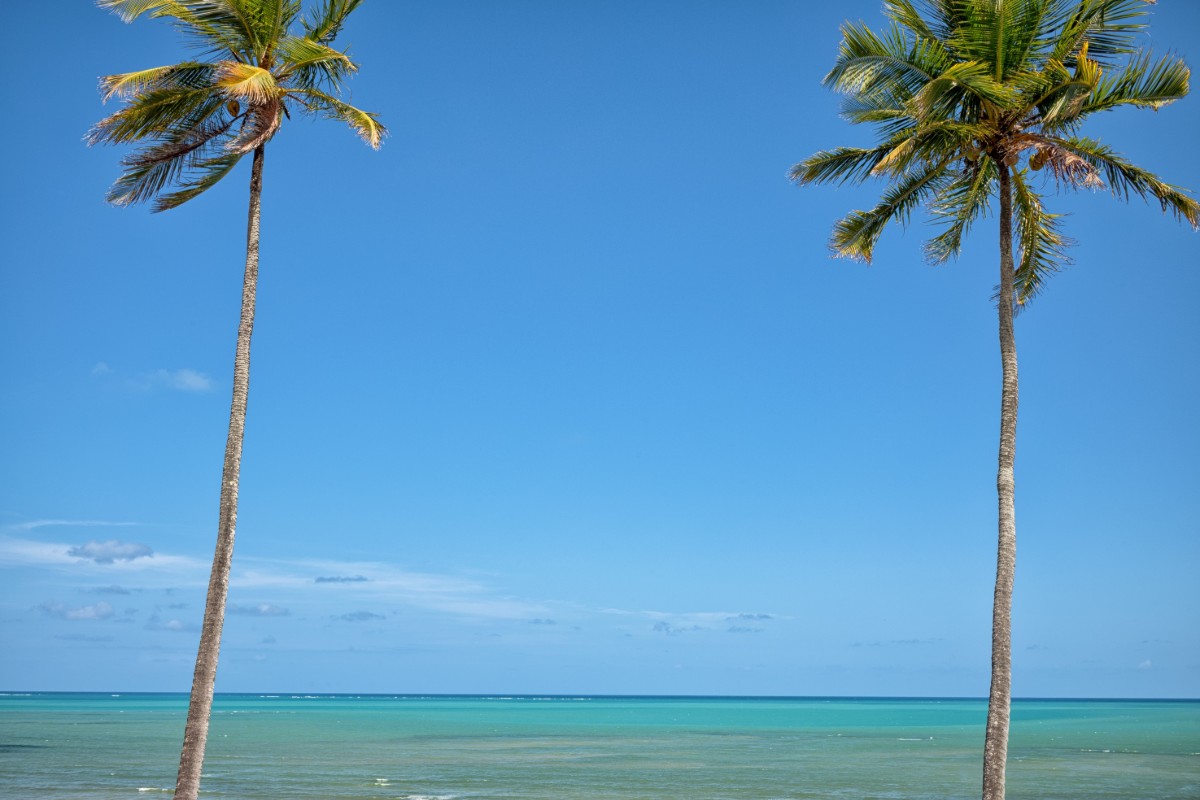Praia de Maragogi: as 6 melhores e dicas (Paraíso Caribenho) - Top Radical